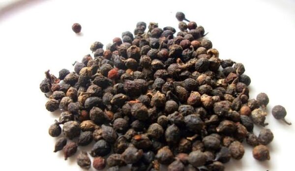 Piper guineense (Uziza): Nutrition, Health Benefits, and Uses ...