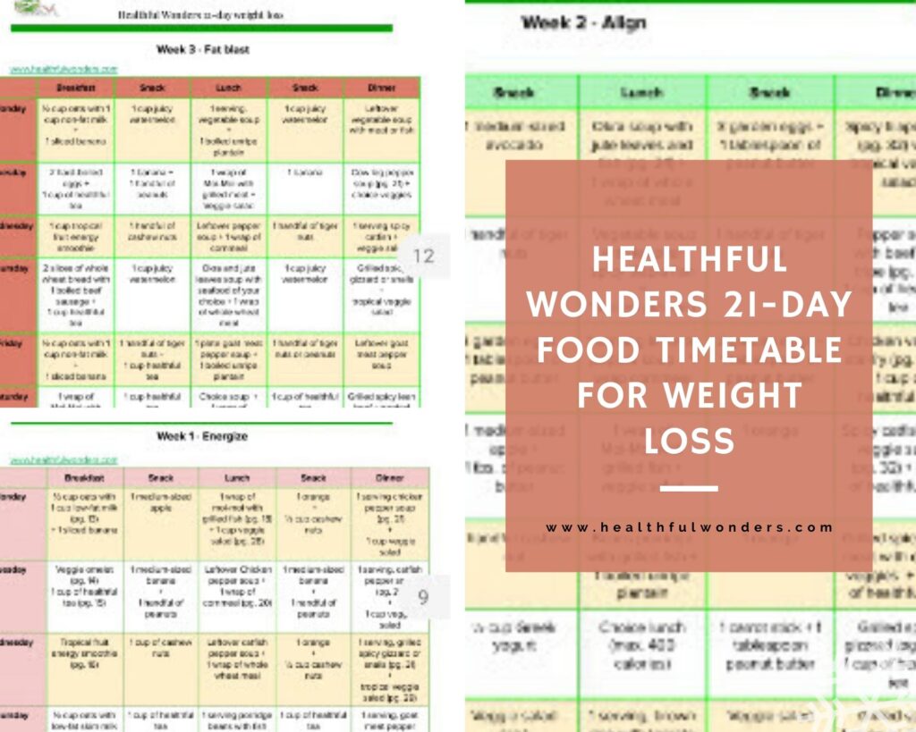 The 21 day Nigerian Food Timetable For Fast Weight Loss Pdf The 21 day Nigerian Food Timetable For Fast Weight Loss Pdf